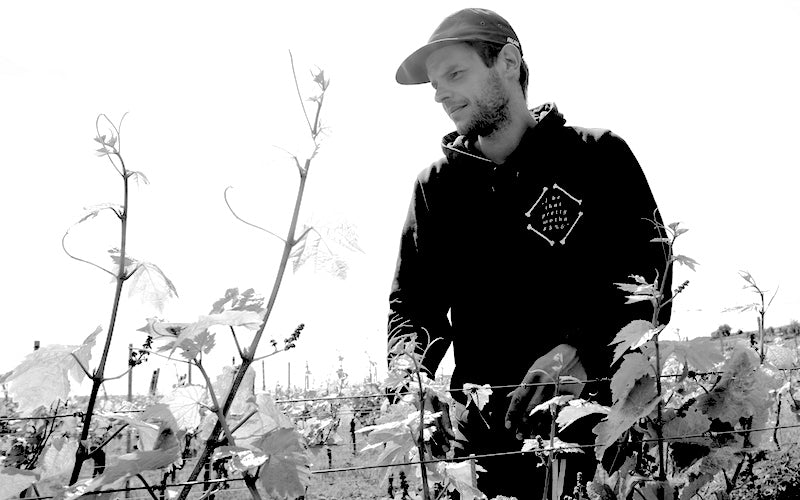 Weingut Bergkloster – Jason Groebe | Naturweinwelt